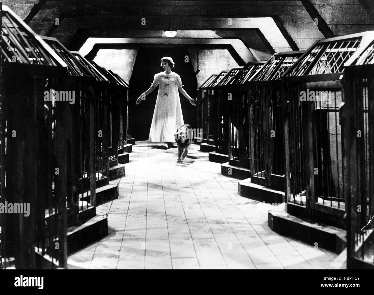 EYES WITHOUT A FACE, (aka LES YEUX SANS VISAGE), Edith Scob, 1960 Stock ...