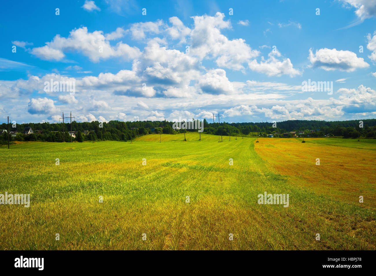 Rural summer landscape Stock Photo - Alamy