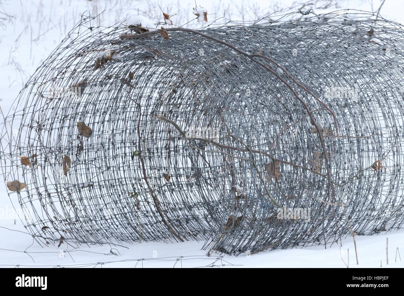 Rolle security hi-res stock photography and images - Alamy