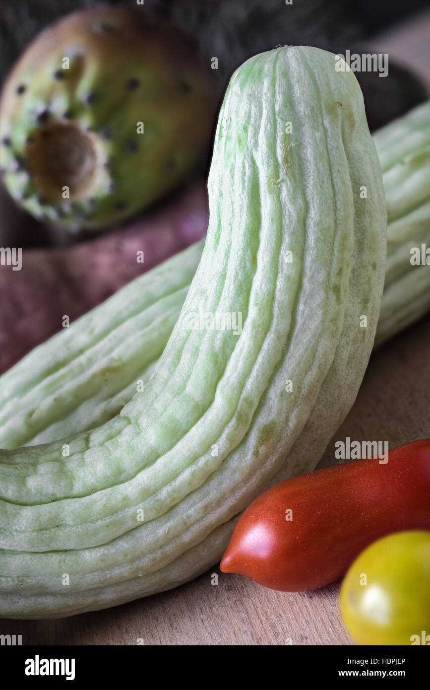 Cucumber cactus hi-res stock photography and images - Alamy