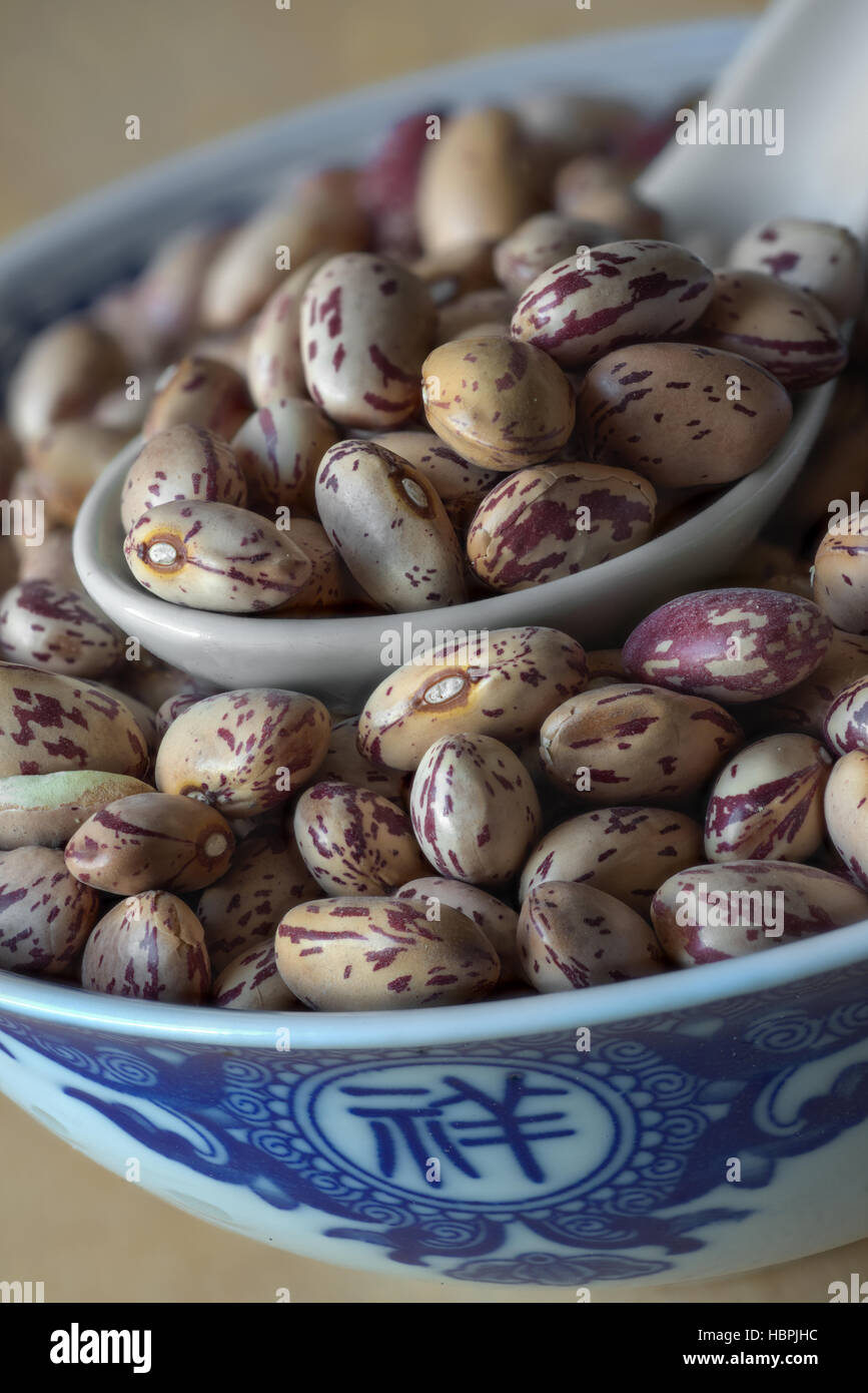 Bohnen pinto hi-res stock photography and images - Alamy