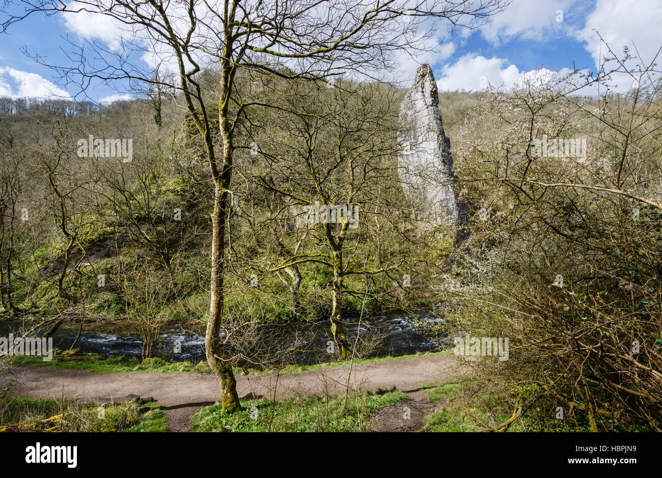 The limestone pinnacle known as Ilam Rock in Dovedale, Peak District ...