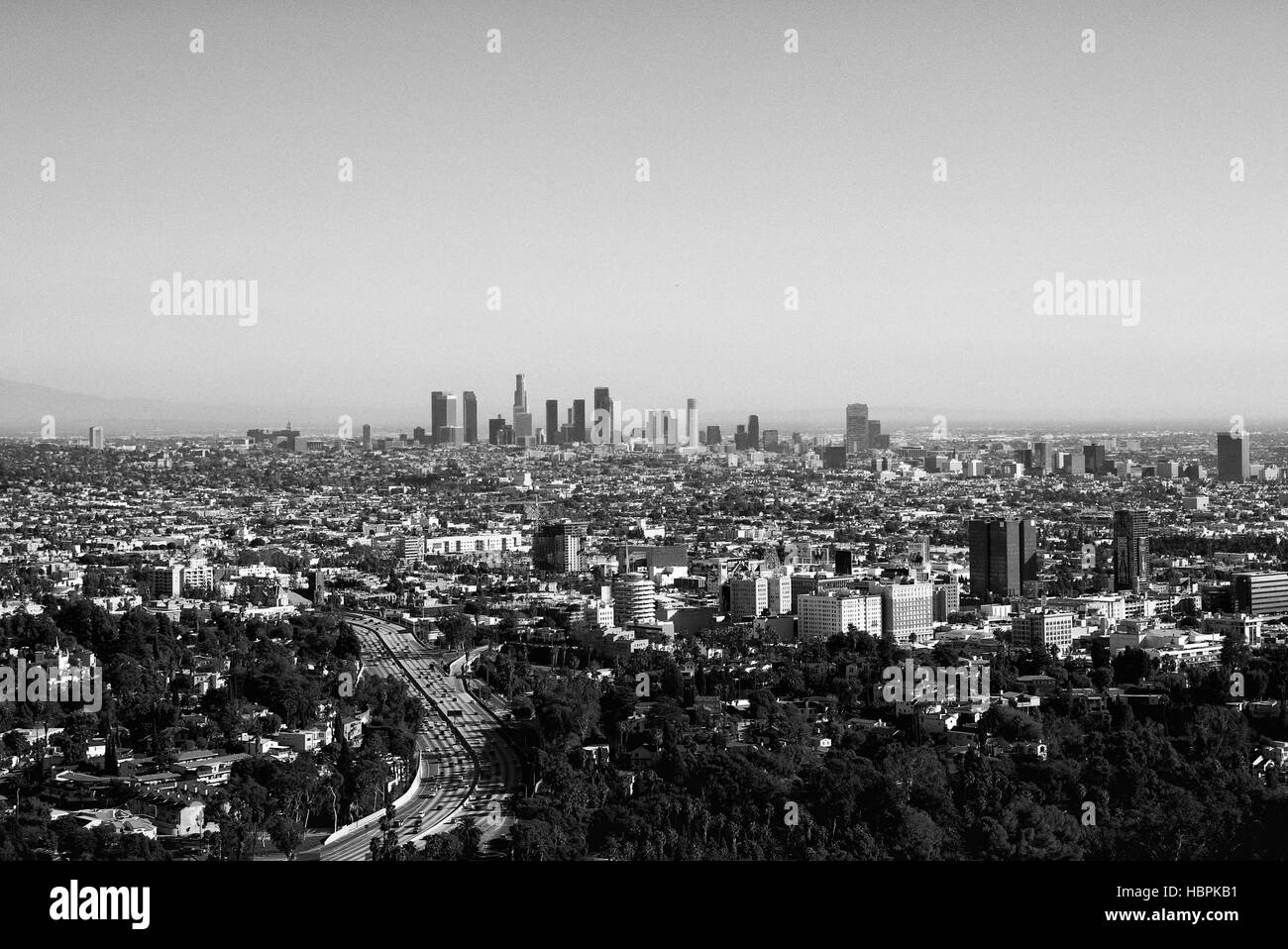 Los angeles skyline palm Black and White Stock Photos & Images - Alamy