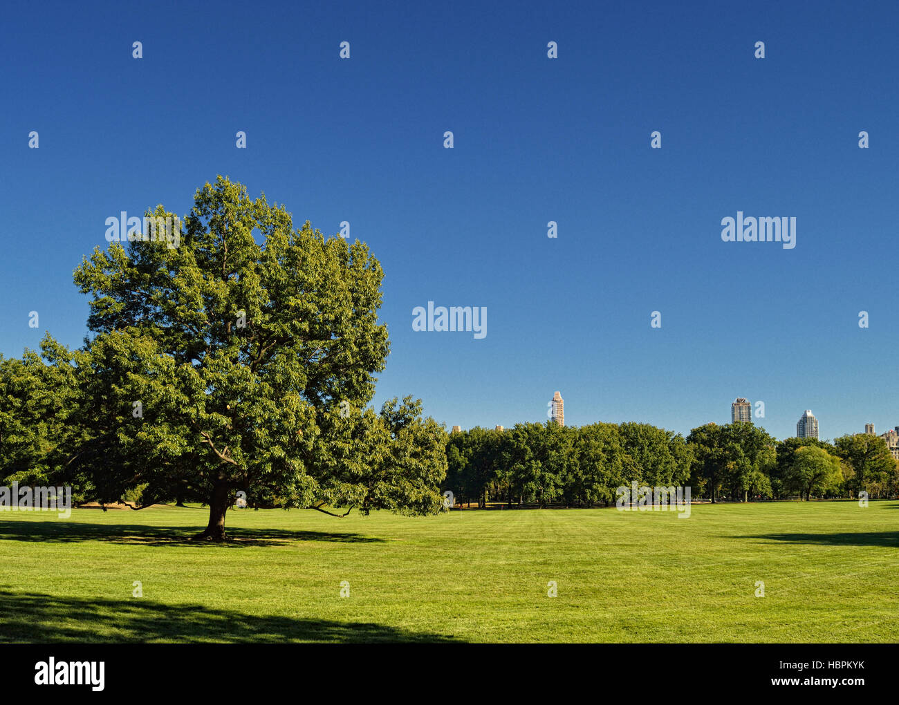 Sheep meadow central park hi-res stock photography and images - Alamy