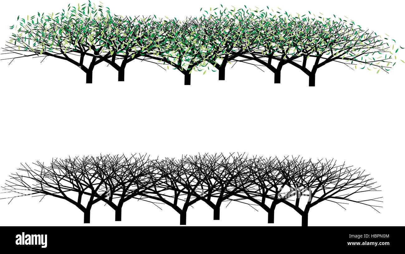 Hedges with and without leaves, vector editable Stock Vector Image ...