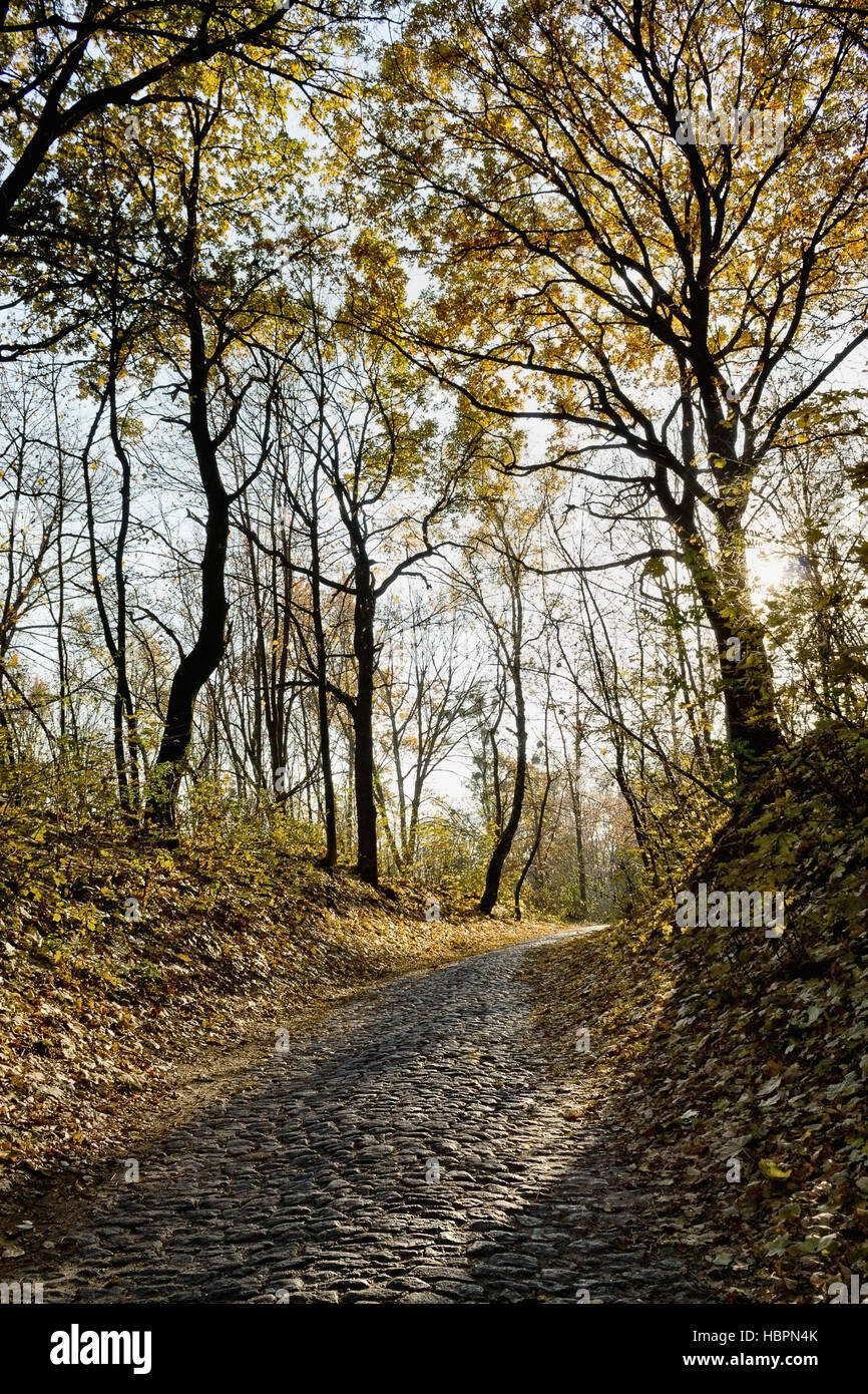 Cobblestone park hi-res stock photography and images - Alamy