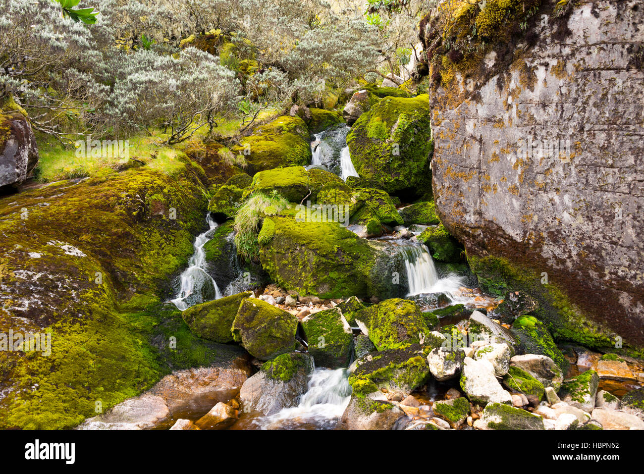 waterfall in ruwenzori mountains, uganda Stock Photo - Alamy
