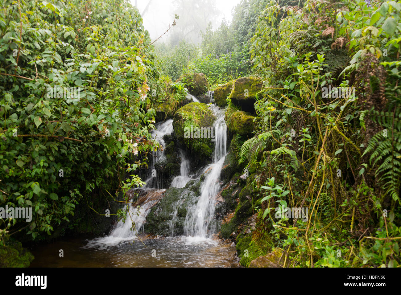 waterfall in ruwenzori mountains, uganda Stock Photo - Alamy