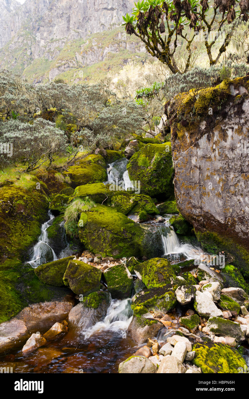 waterfall in ruwenzori mountains, uganda Stock Photo - Alamy