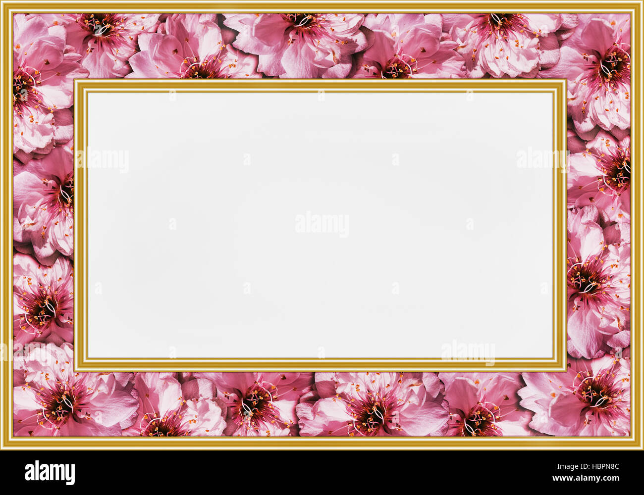 frame with pink spring flowers closeup Stock Photo - Alamy