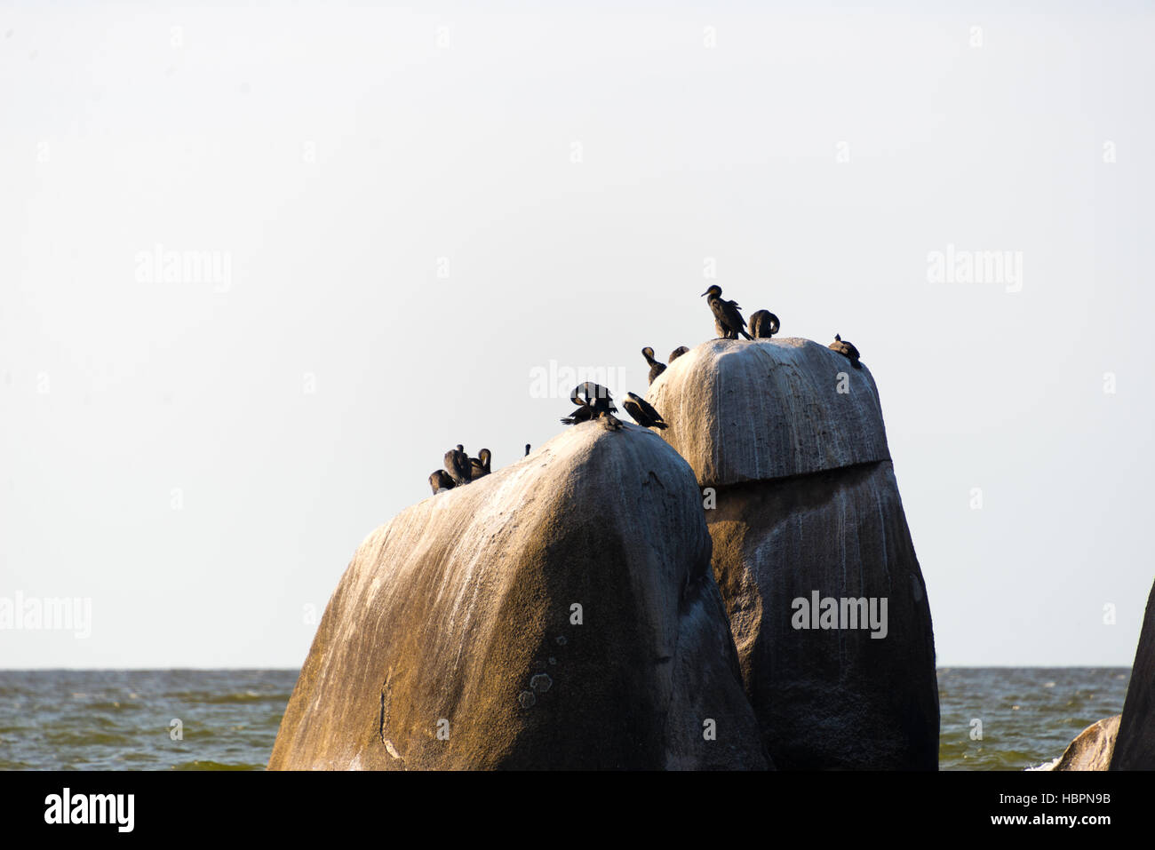 rocks on shore of lake victoria Stock Photo - Alamy
