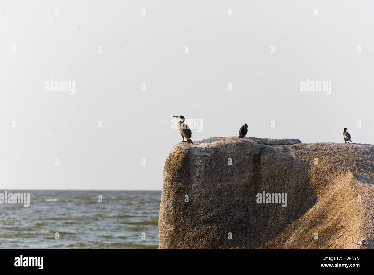 rocks on shore of lake victoria Stock Photo - Alamy
