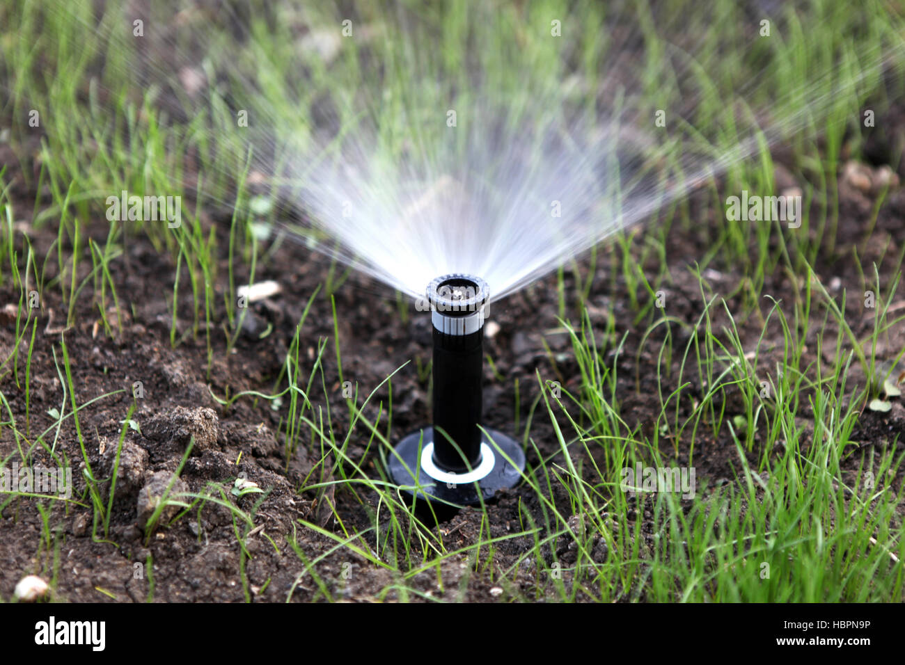 sprinkler of automatic watering Stock Photo - Alamy