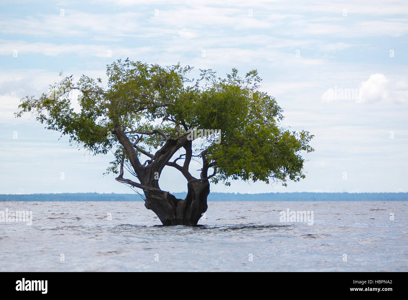 Brazil manaus river beach hi-res stock photography and images - Alamy