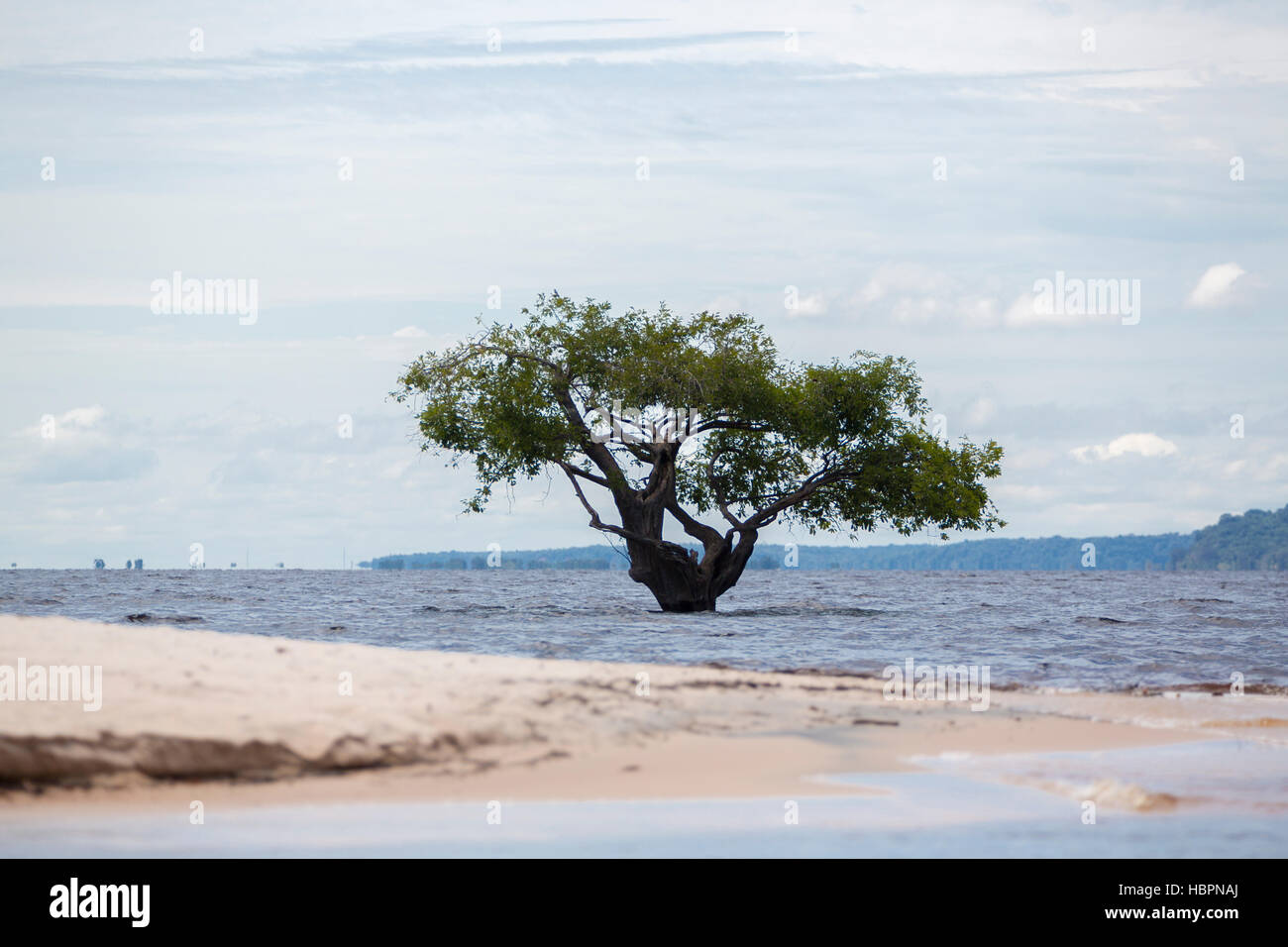Brazil manaus river beach hi-res stock photography and images - Alamy