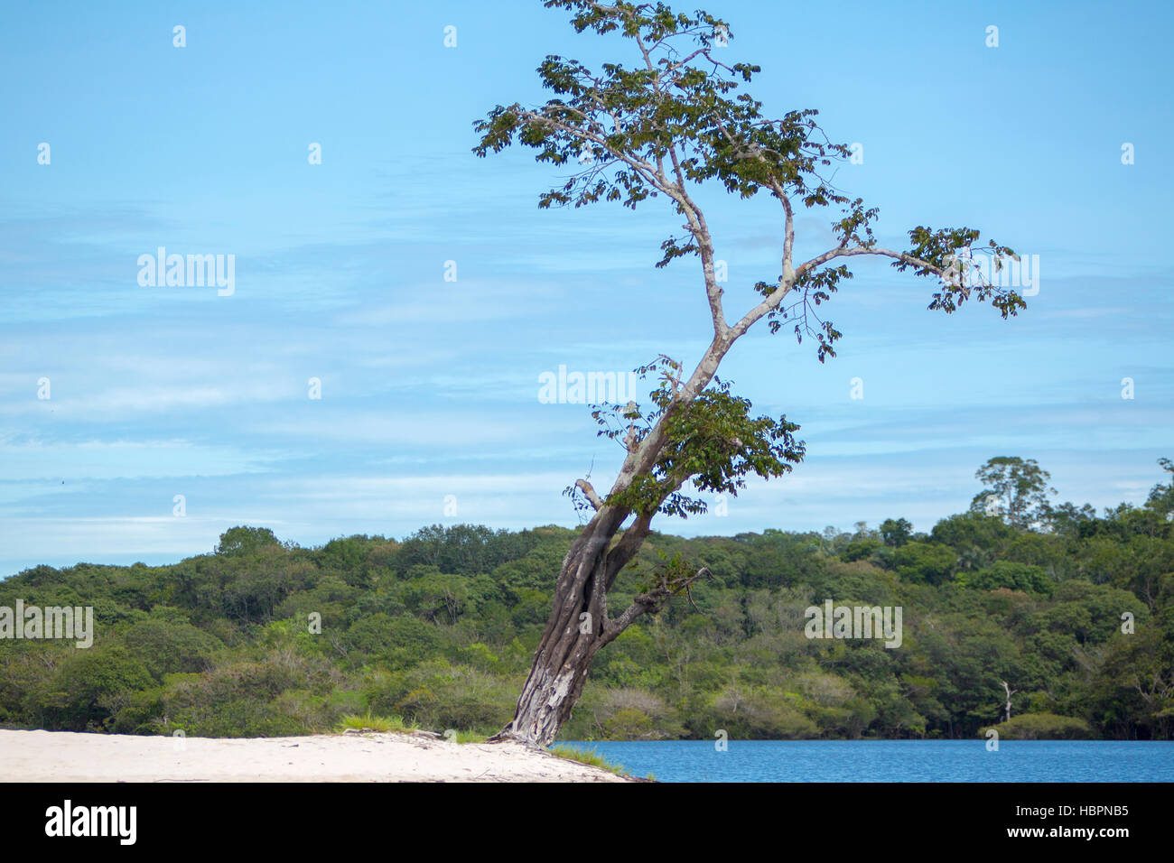 Wooden pier and sand beach on the Amazon River in Manaus, Brazil Stock ...