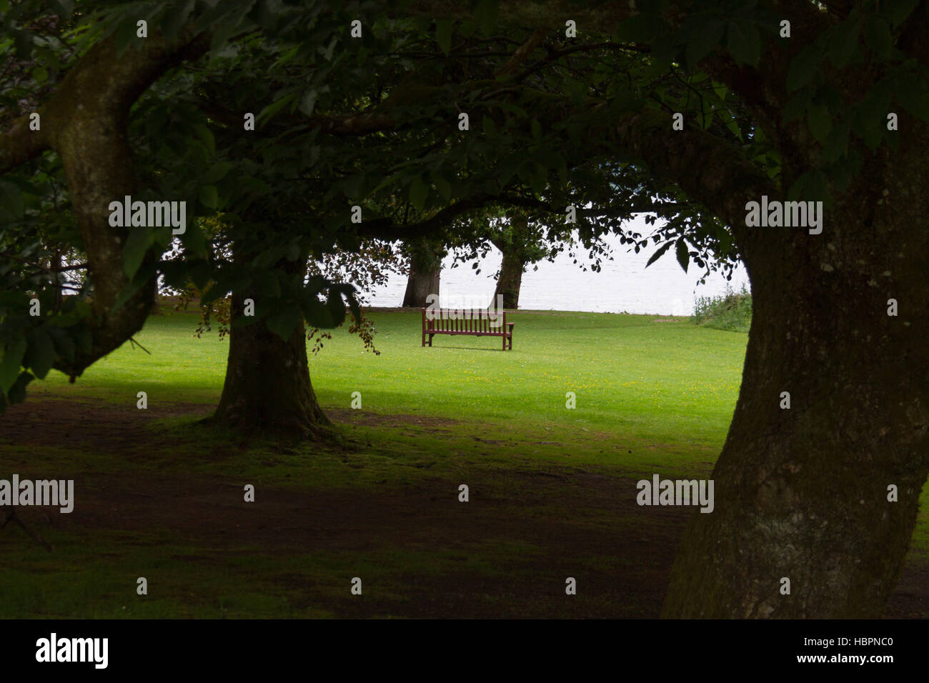 Loch lomon hi-res stock photography and images - Alamy