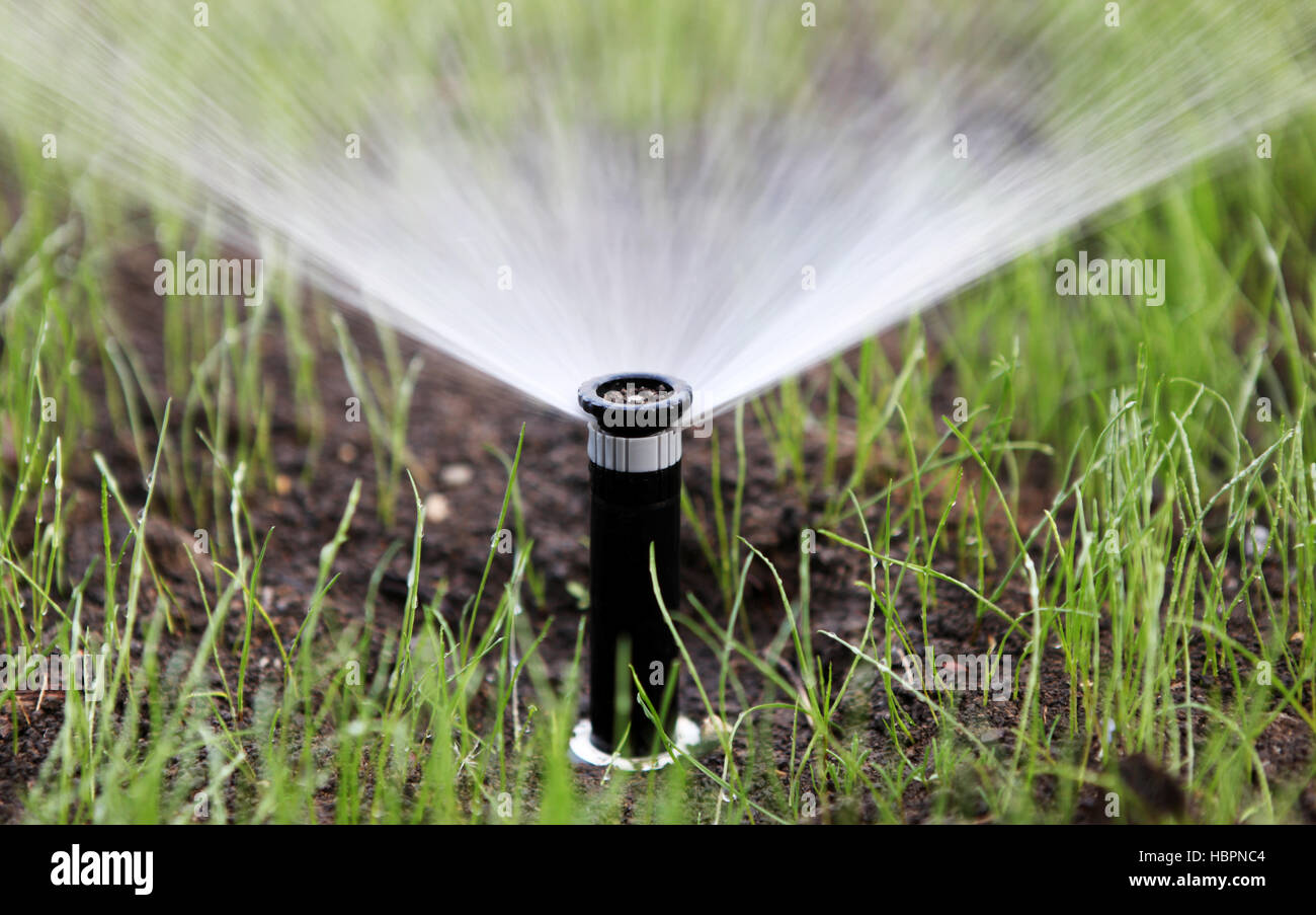 Automatic lawn sprinkler hi-res stock photography and images - Alamy