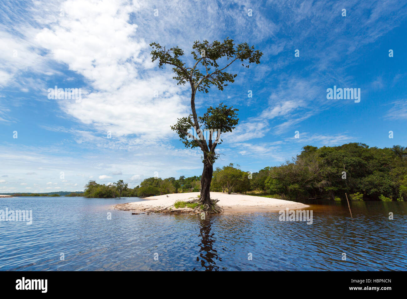 Wooden pier and sand beach on the Amazon River in Manaus, Brazil Stock ...