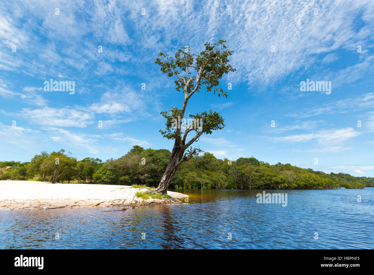Wooden pier and sand beach on the Amazon River in Manaus, Brazil Stock ...