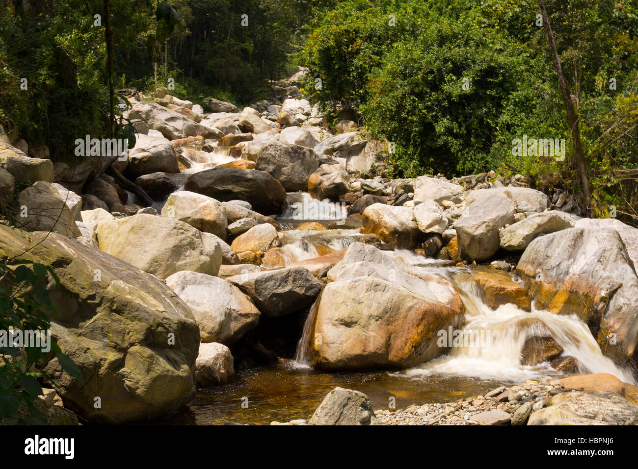 Tropical riverbed hi-res stock photography and images - Alamy