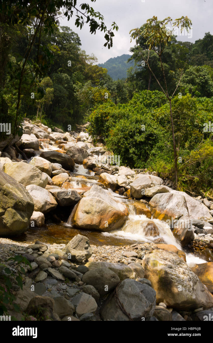 Jungle riverbed hi-res stock photography and images - Alamy