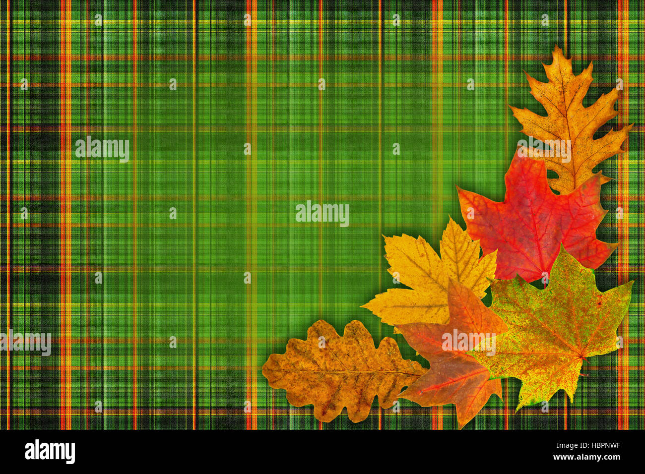 green checkered background with autumn leaves Stock Photo - Alamy