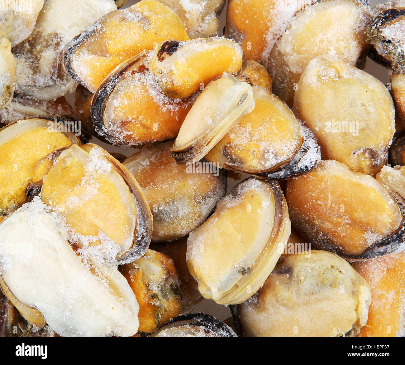 Frozen scallop hi-res stock photography and images - Alamy