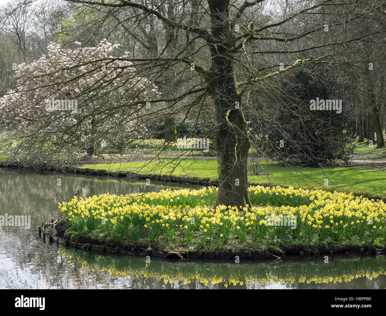 spring in the park Stock Photo - Alamy