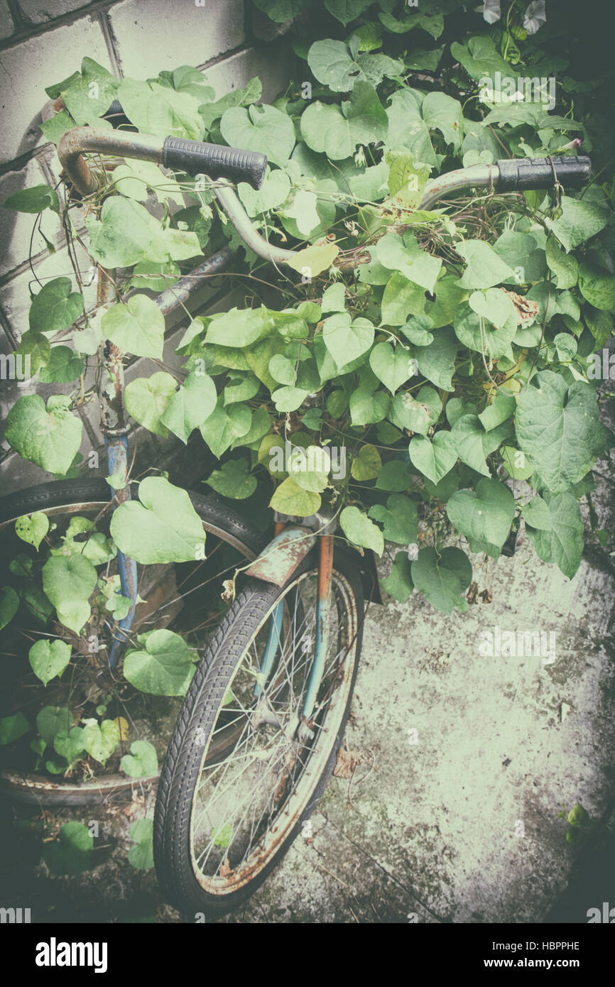 Rusty bicycles hi-res stock photography and images - Alamy