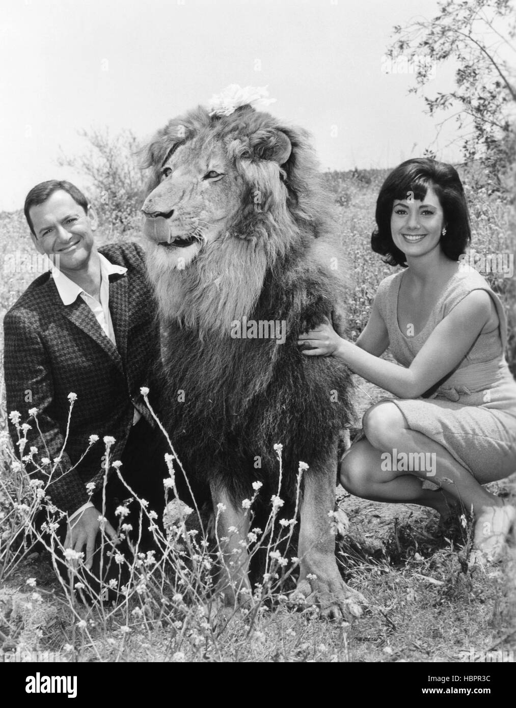 FLUFFY, from left: Tony Randall, Shirley Jones, 1965 Stock Photo - Alamy