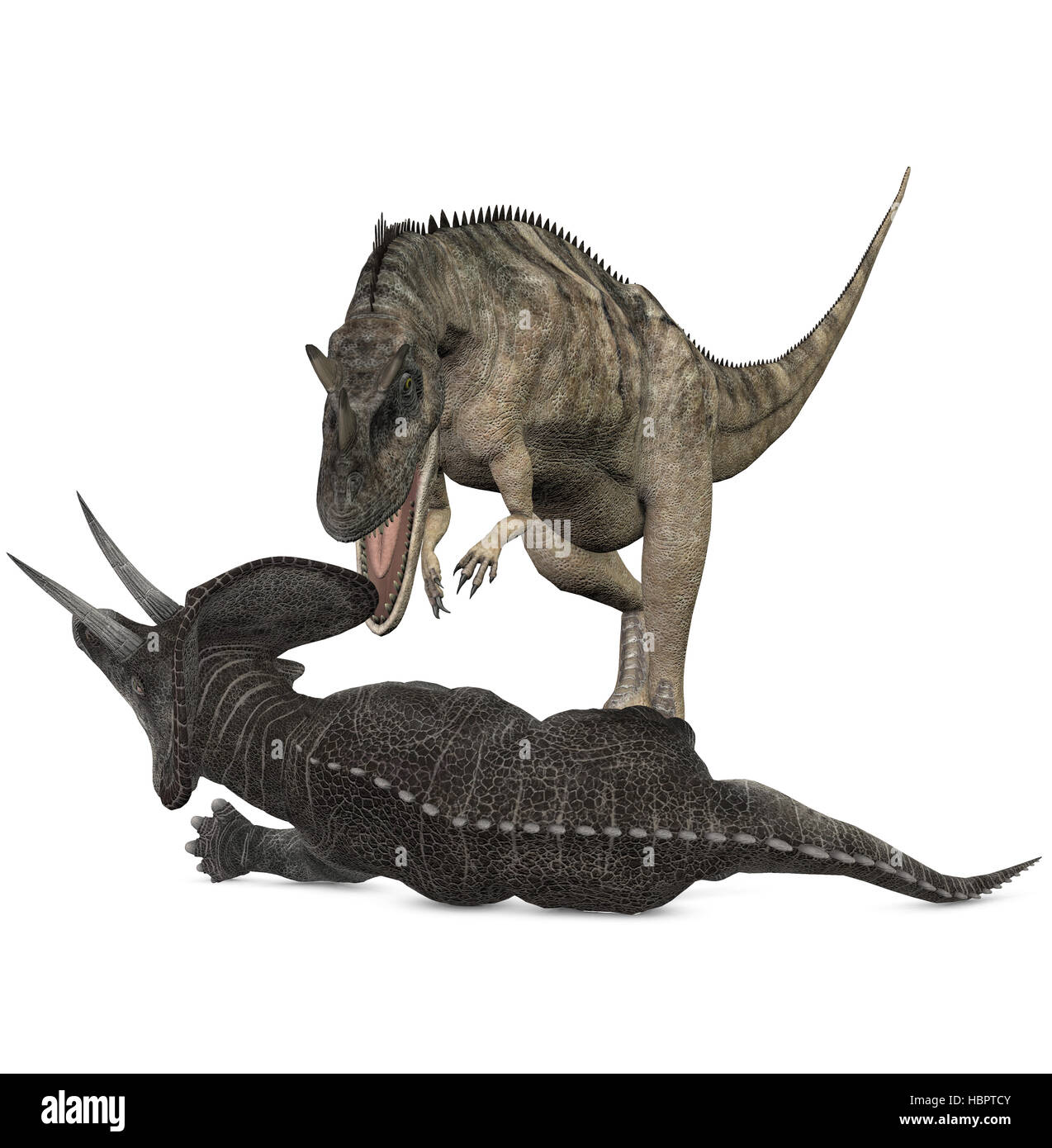 Ceratosaurus hi-res stock photography and images - Alamy