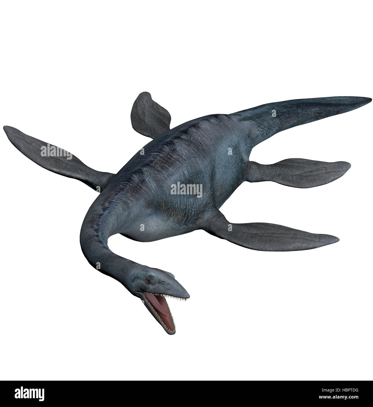 Elasmosaurus hi-res stock photography and images - Alamy