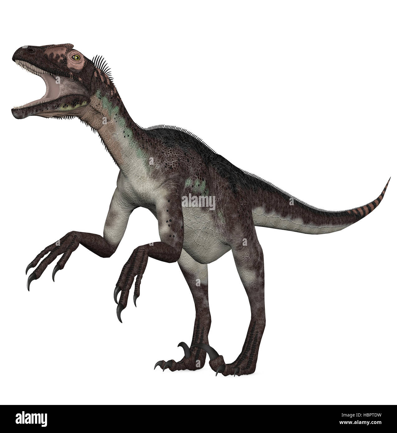 Velociraptor hi-res stock photography and images - Alamy