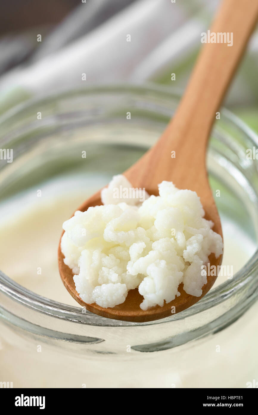 Milk kefir grains on wooden spoon on the top of a jar of kefir ...