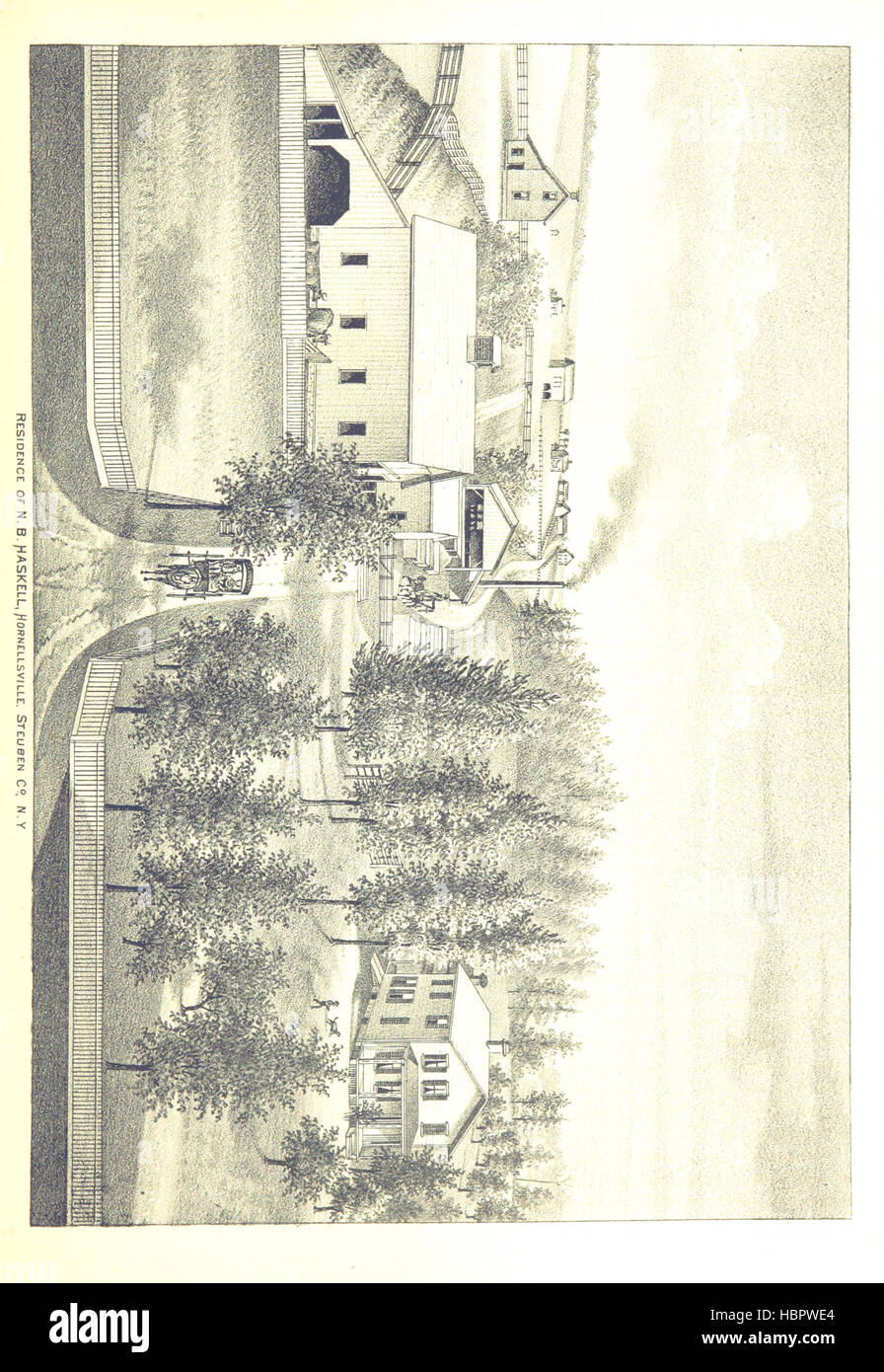 Page 599 showing Steuben County, New York, including historical ...