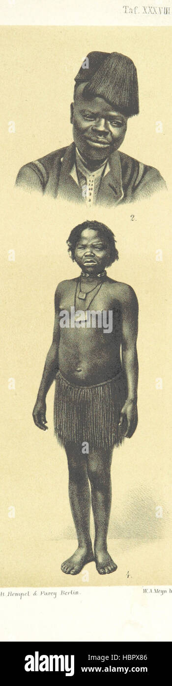 Die Nigritier. Eine anthropologisch-ethnologische Monographie, etc ...