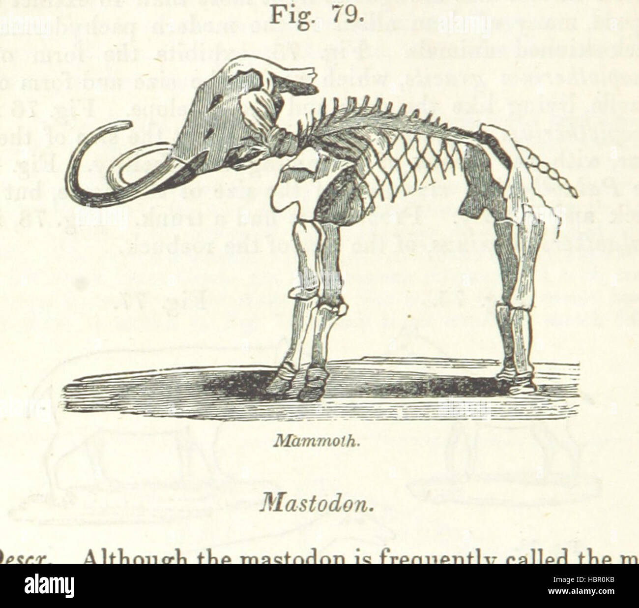 Page 154 from '[Elementary Geology]' provides an introduction to key ...