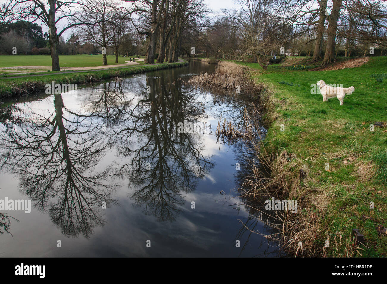 Cardiff bute park hi-res stock photography and images - Alamy