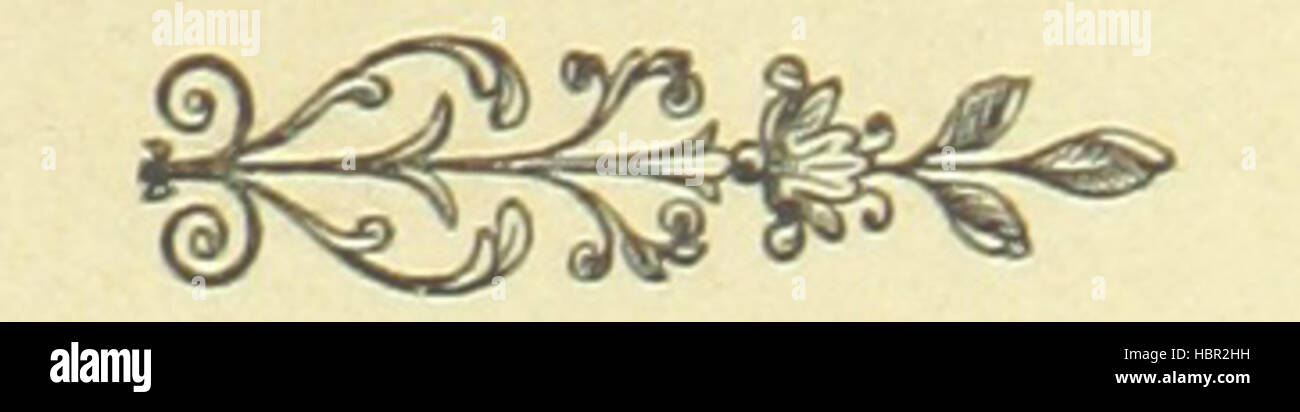 Page 35 of 'The Birthday Book' showcases a special illustration or ...