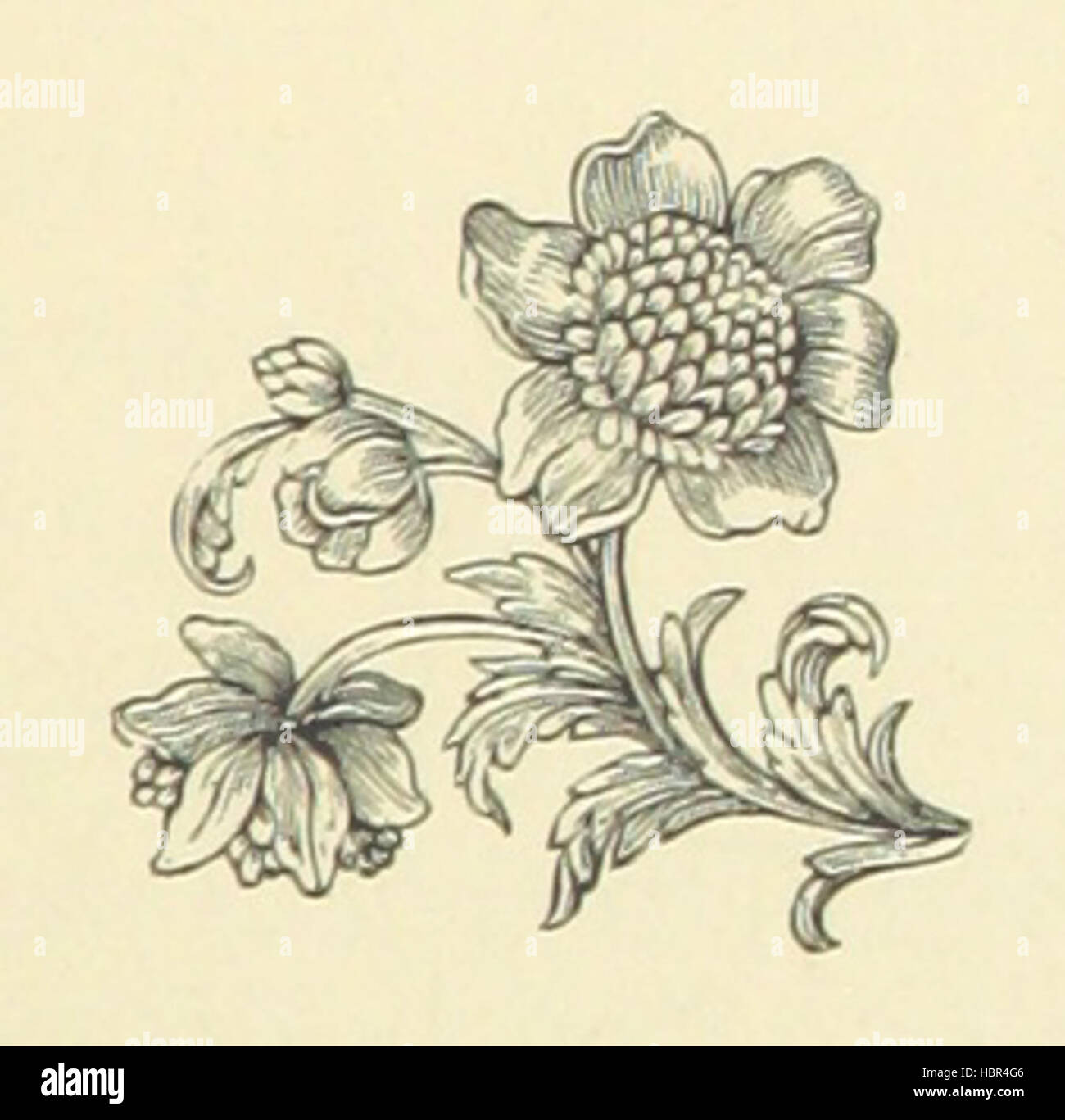 William streeter hi-res stock photography and images - Alamy