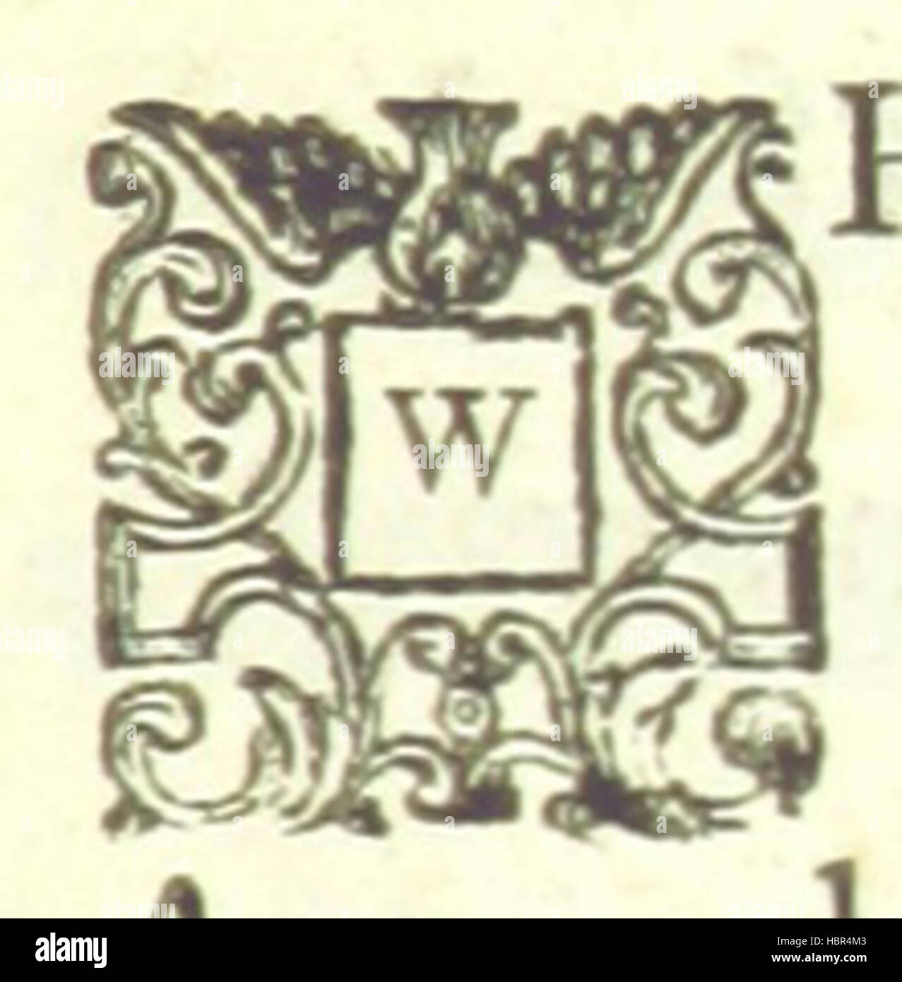 Grobianus hi-res stock photography and images - Alamy