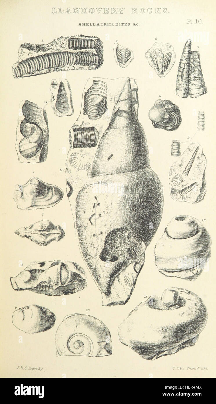 This image from 'Siluria' depicts the geological history of the ...