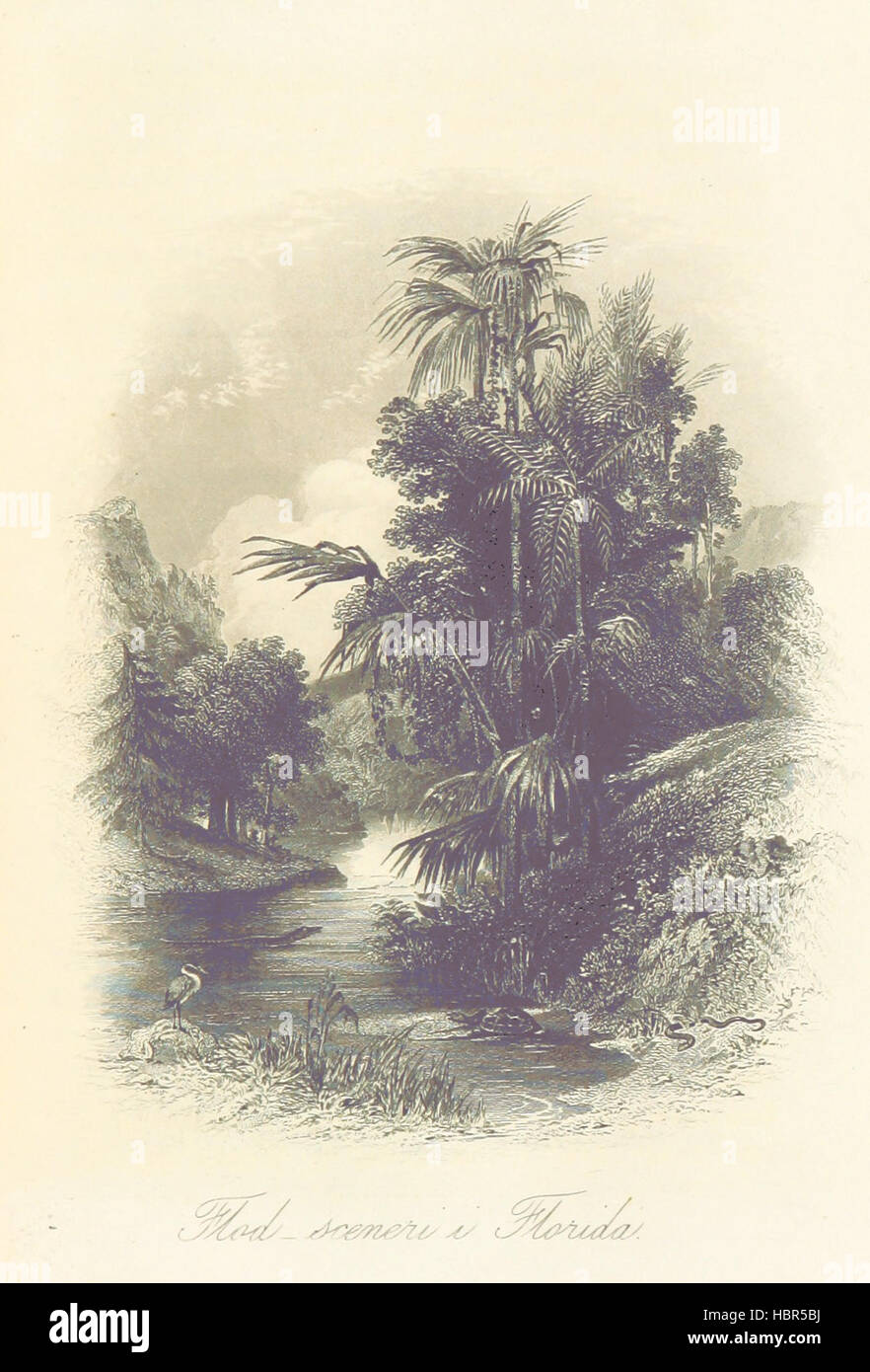 Hemmen hi-res stock photography and images - Alamy