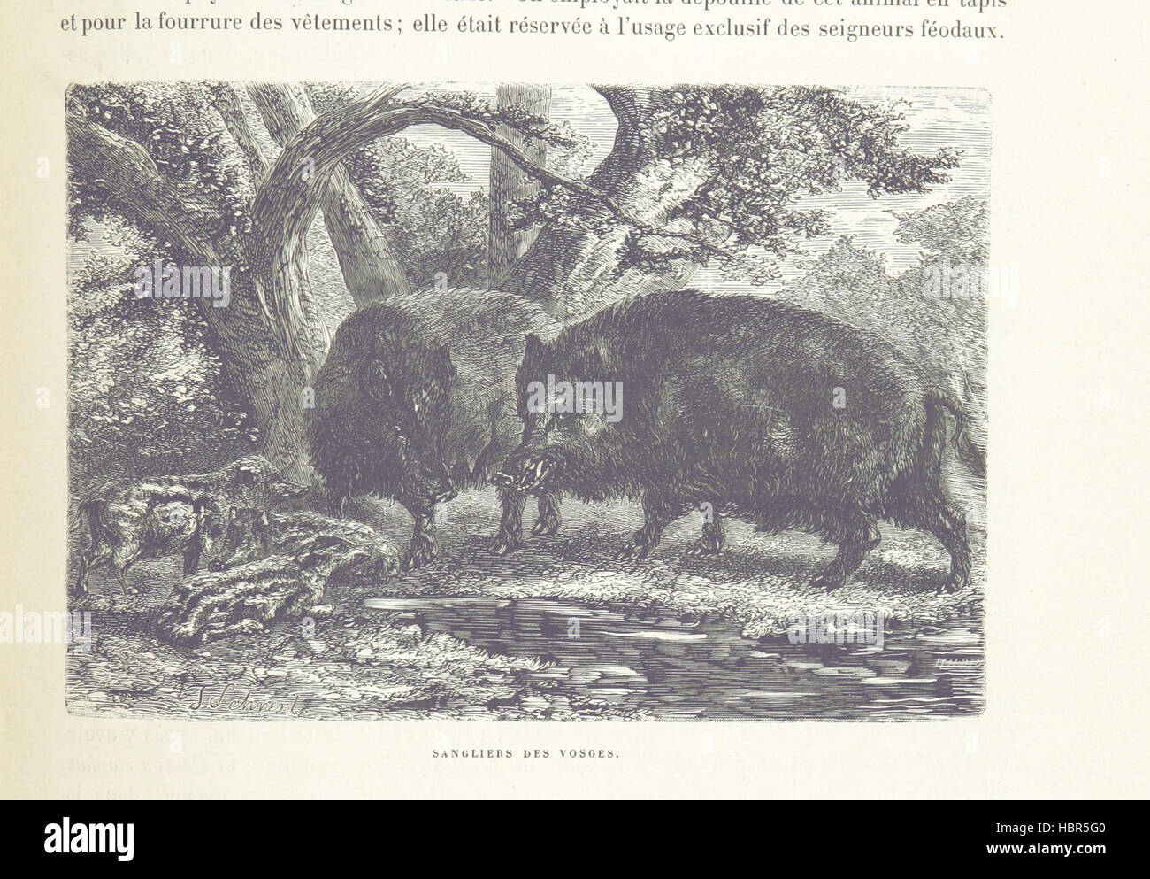 Page 831 of 'Alsace: The Country and Its Inhabitants' presents ...