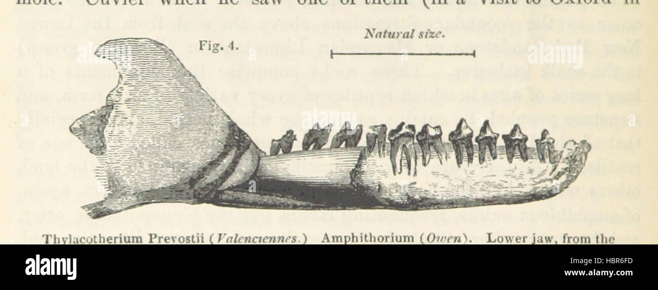 This image from 'Principles of Geology' illustrates key geological ...