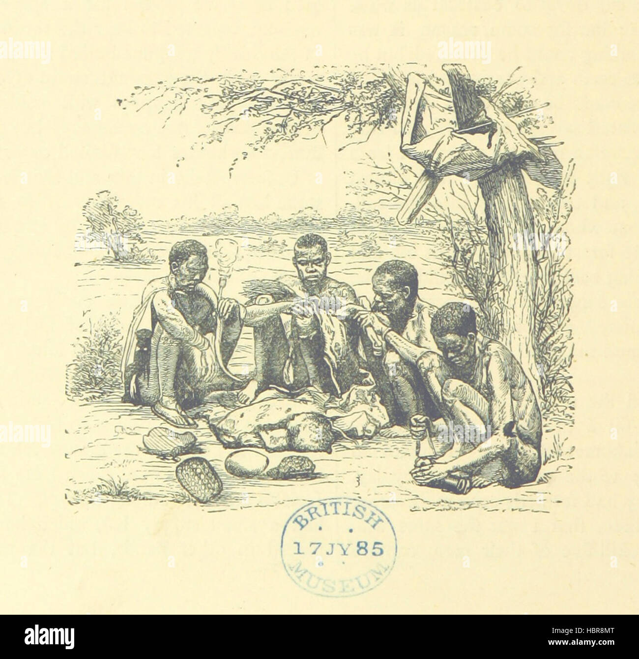 David livingstone letter hi-res stock photography and images - Alamy
