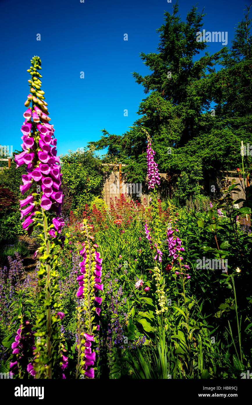 A peaceful gentle garden on Vashon Island in the Pacific Northwest of ...