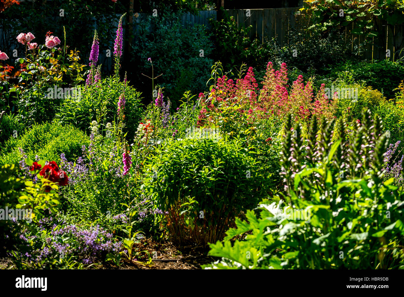 A peaceful gentle garden on Vashon Island in the Pacific Northwest of ...