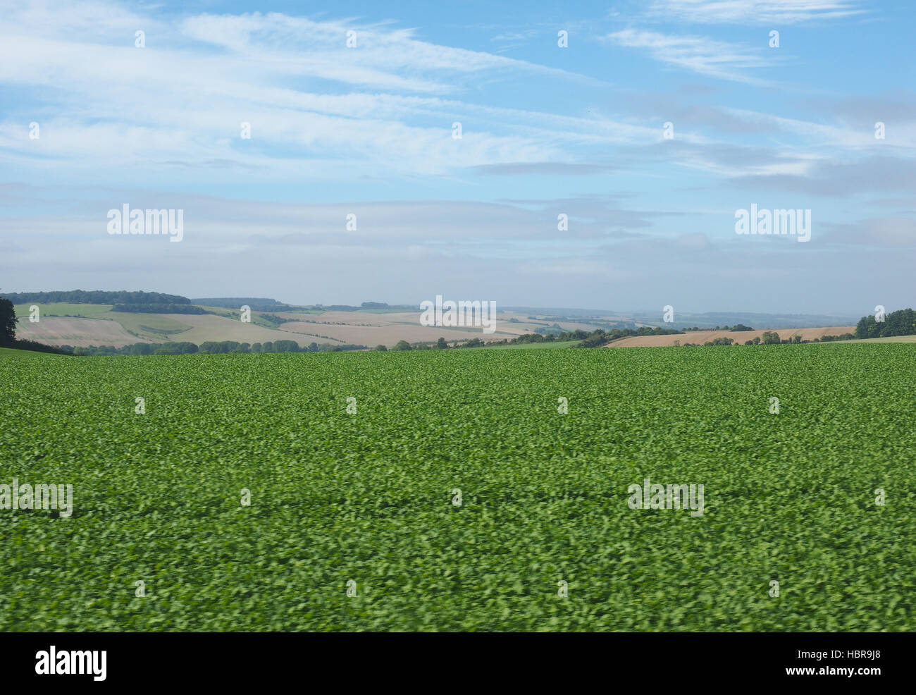 English country panorama in Salisbury Stock Photo - Alamy